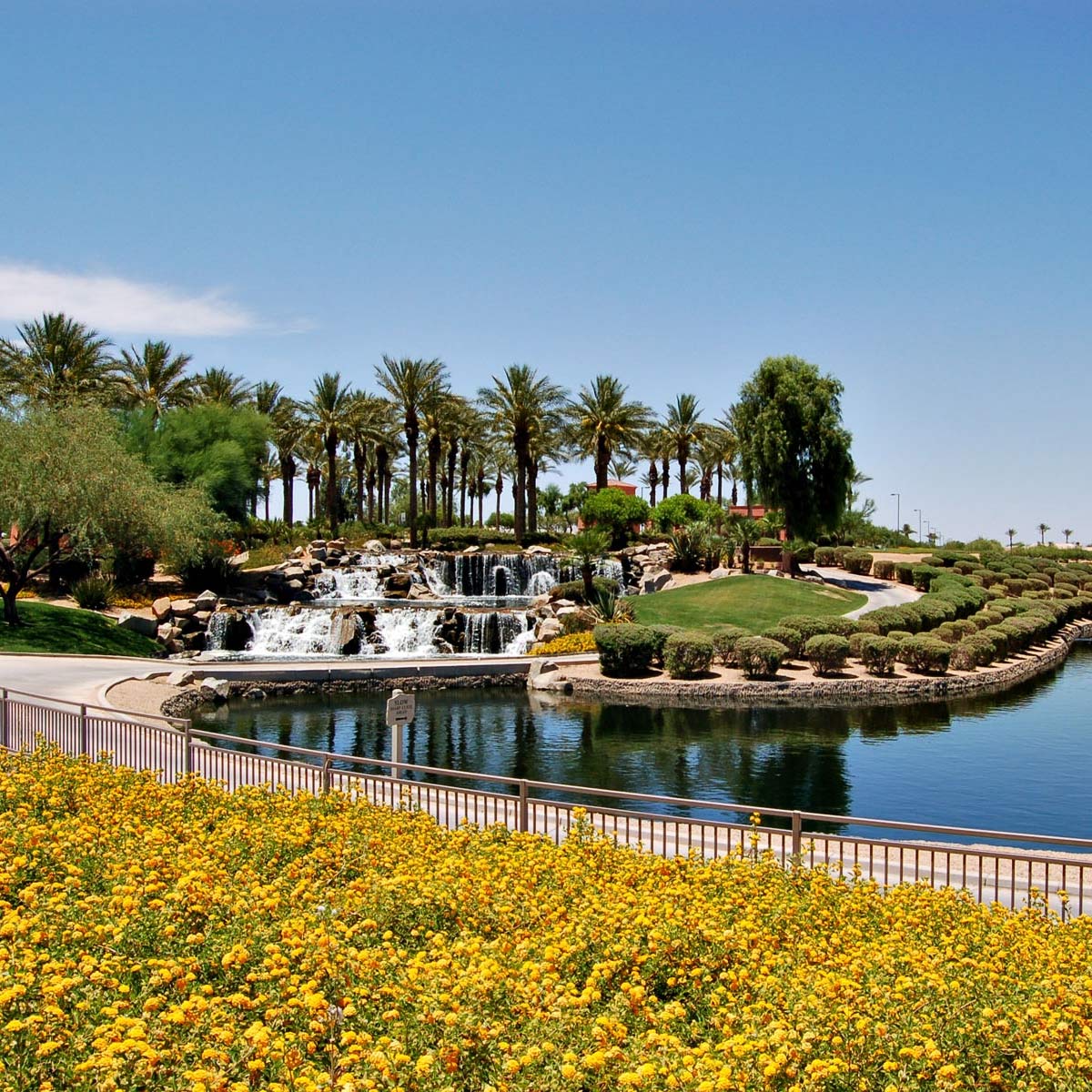 Surprise , AZ Landscaping Services Company | Turf Monsters