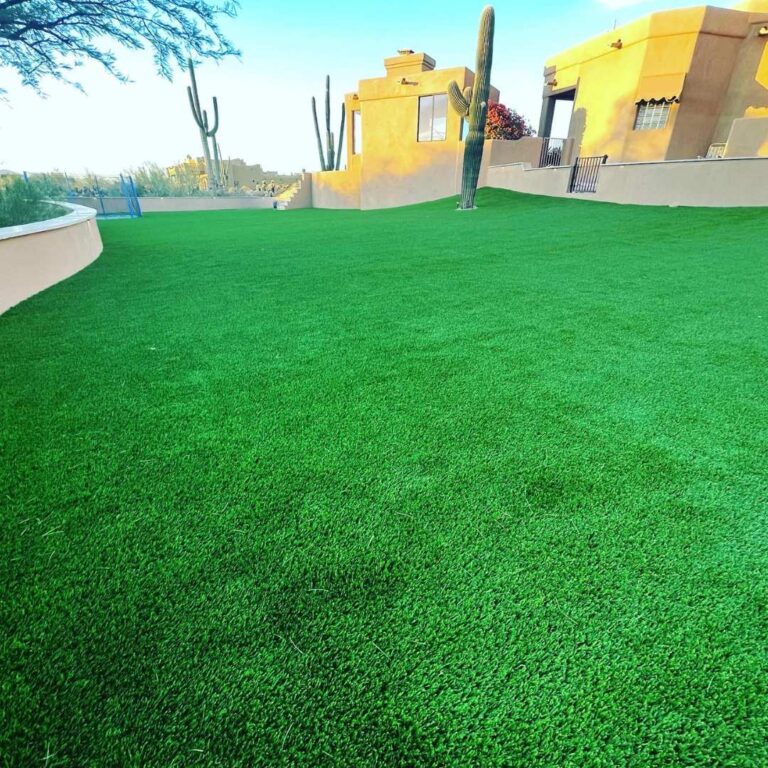Top 5 Phoenix Backyard Landscaping Trends • Turf Monsters AZ